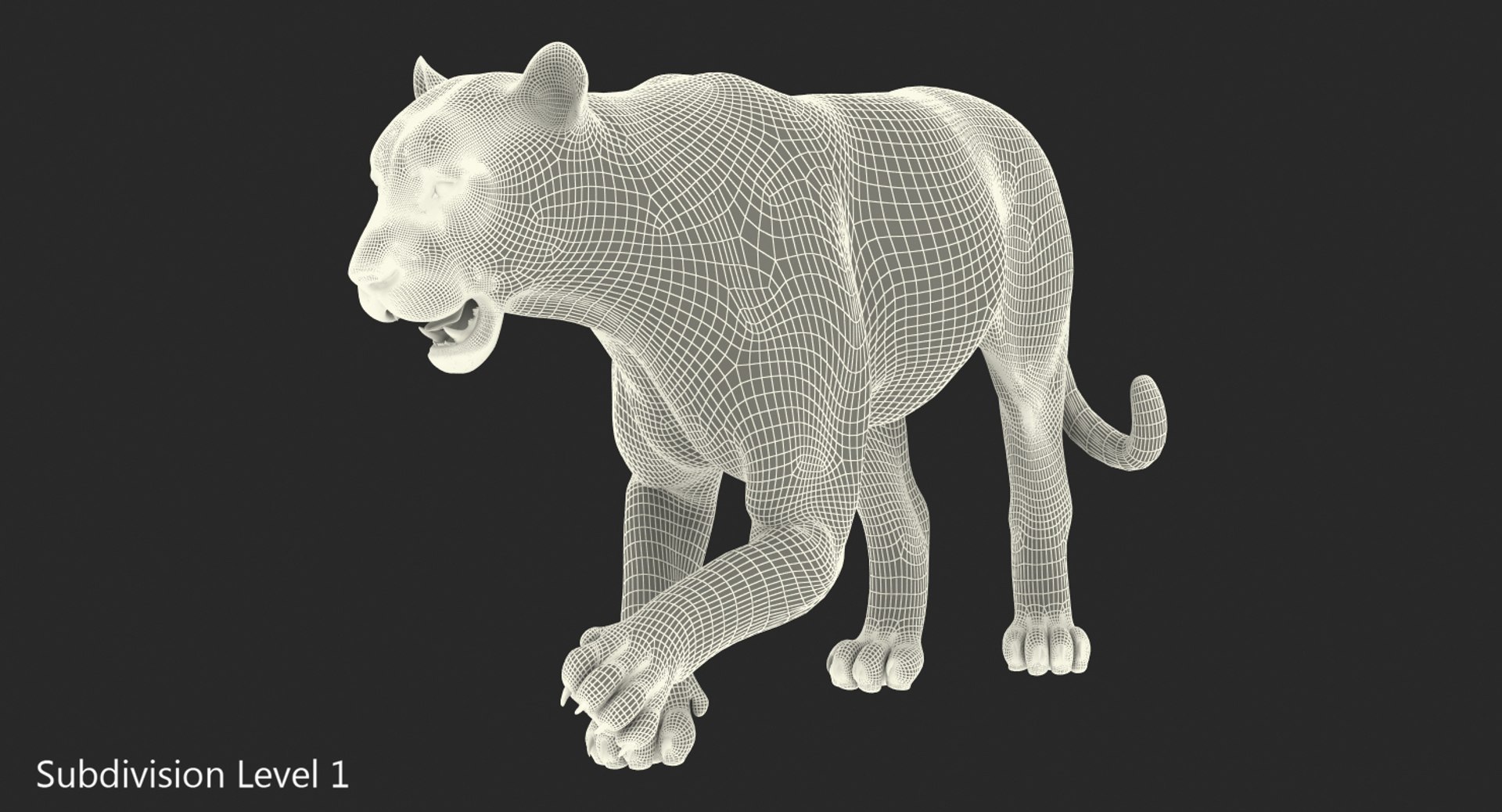 3D Tiger Rigged Model - TurboSquid 1318491