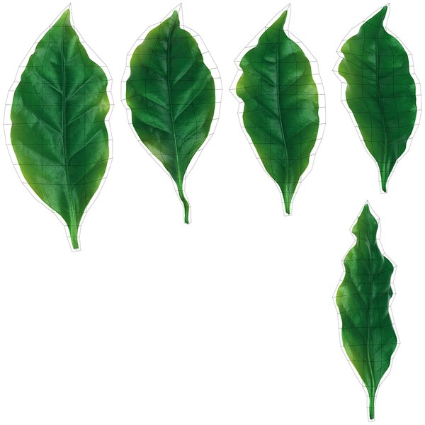 Leaves real model - TurboSquid 1476666