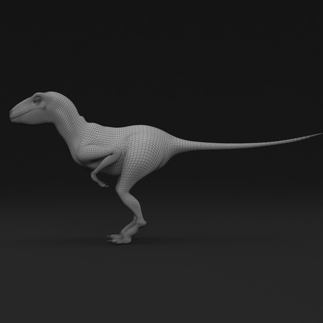 3D Dinosaur Velociraptor Base Model - TurboSquid 1689062