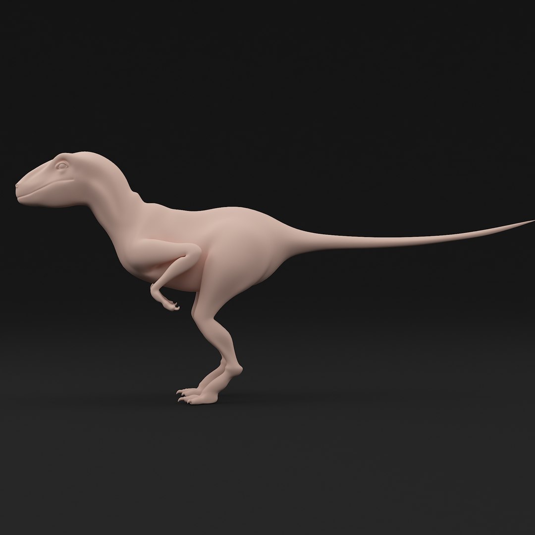 3D Dinosaur Velociraptor Base Model - TurboSquid 1689062