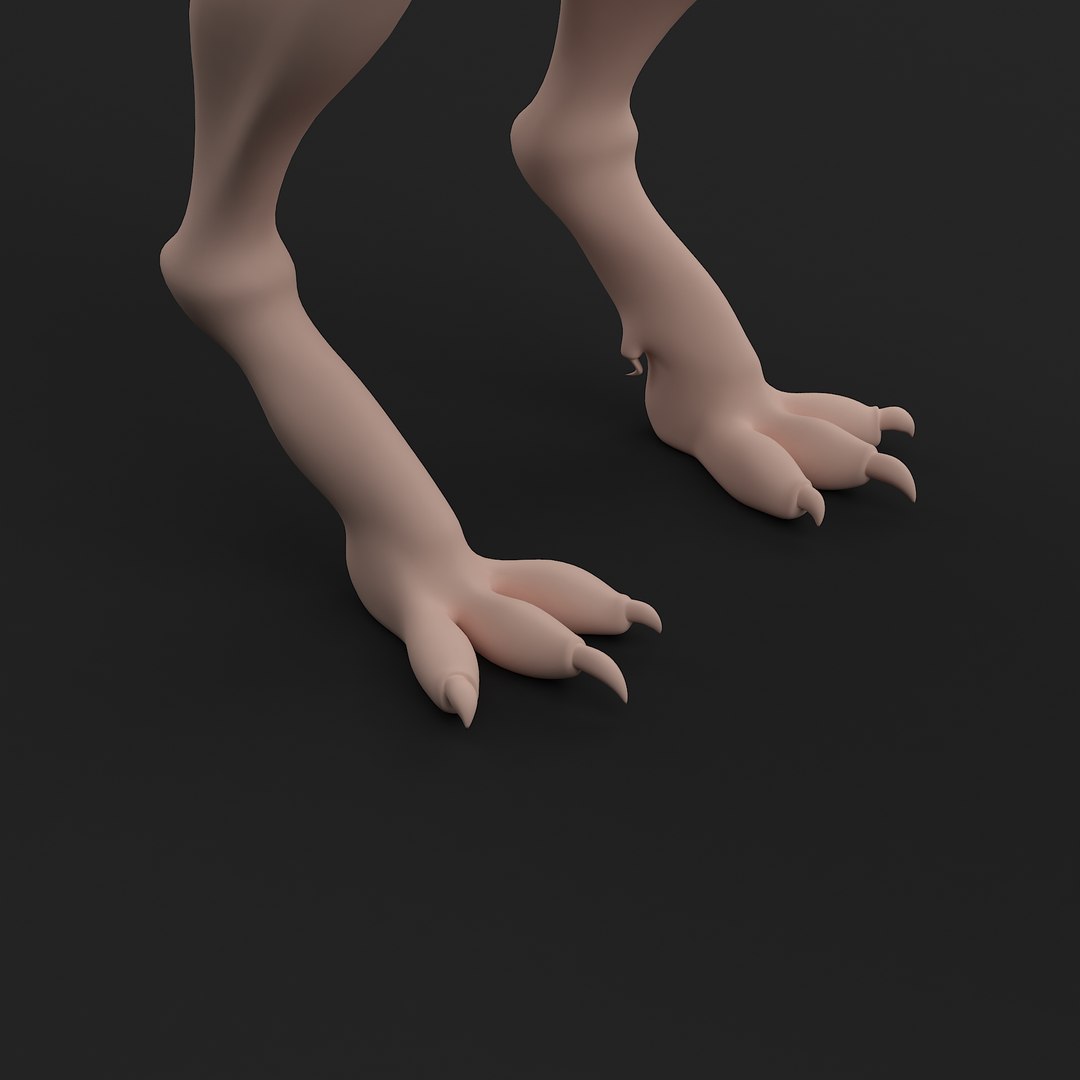 3D Dinosaur Velociraptor Base Model - TurboSquid 1689062