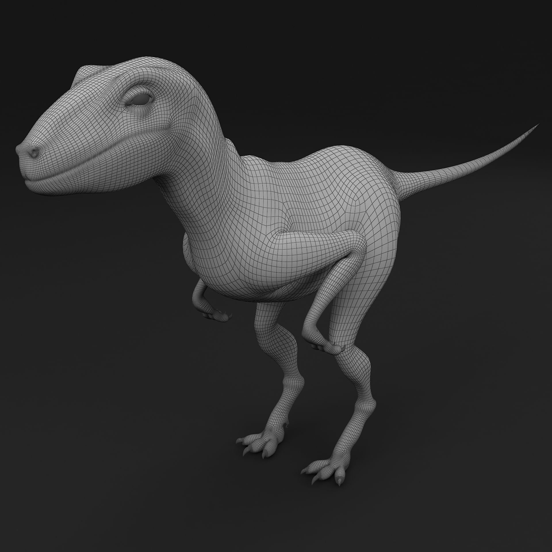3D dinosaur velociraptor base model - TurboSquid 1689062