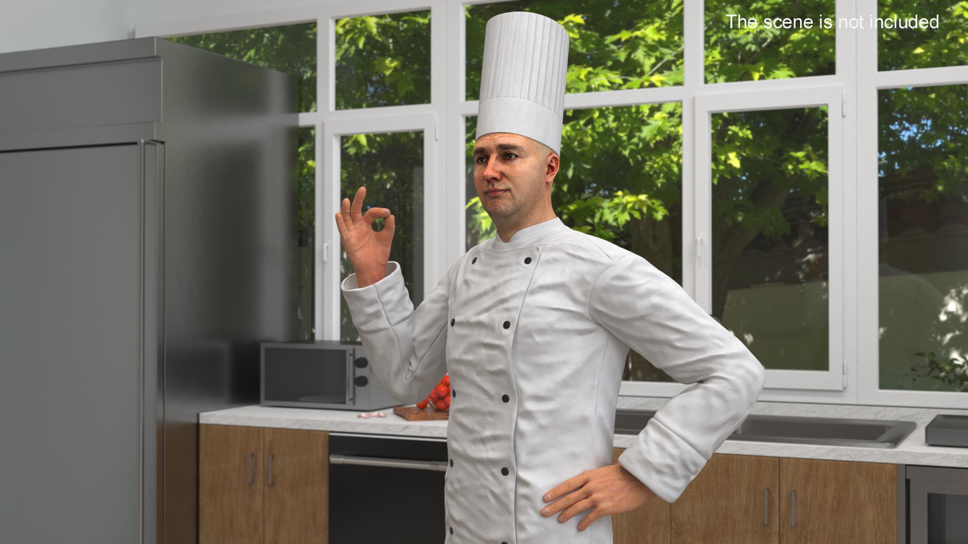 Professional Chef Character In Pose 3D Model - TurboSquid 2328715