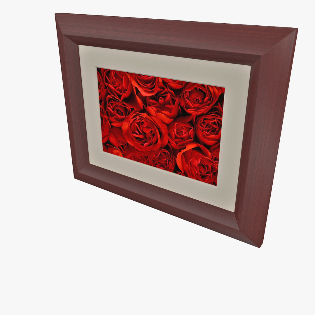 Digital Picture Frame Philips 3ds