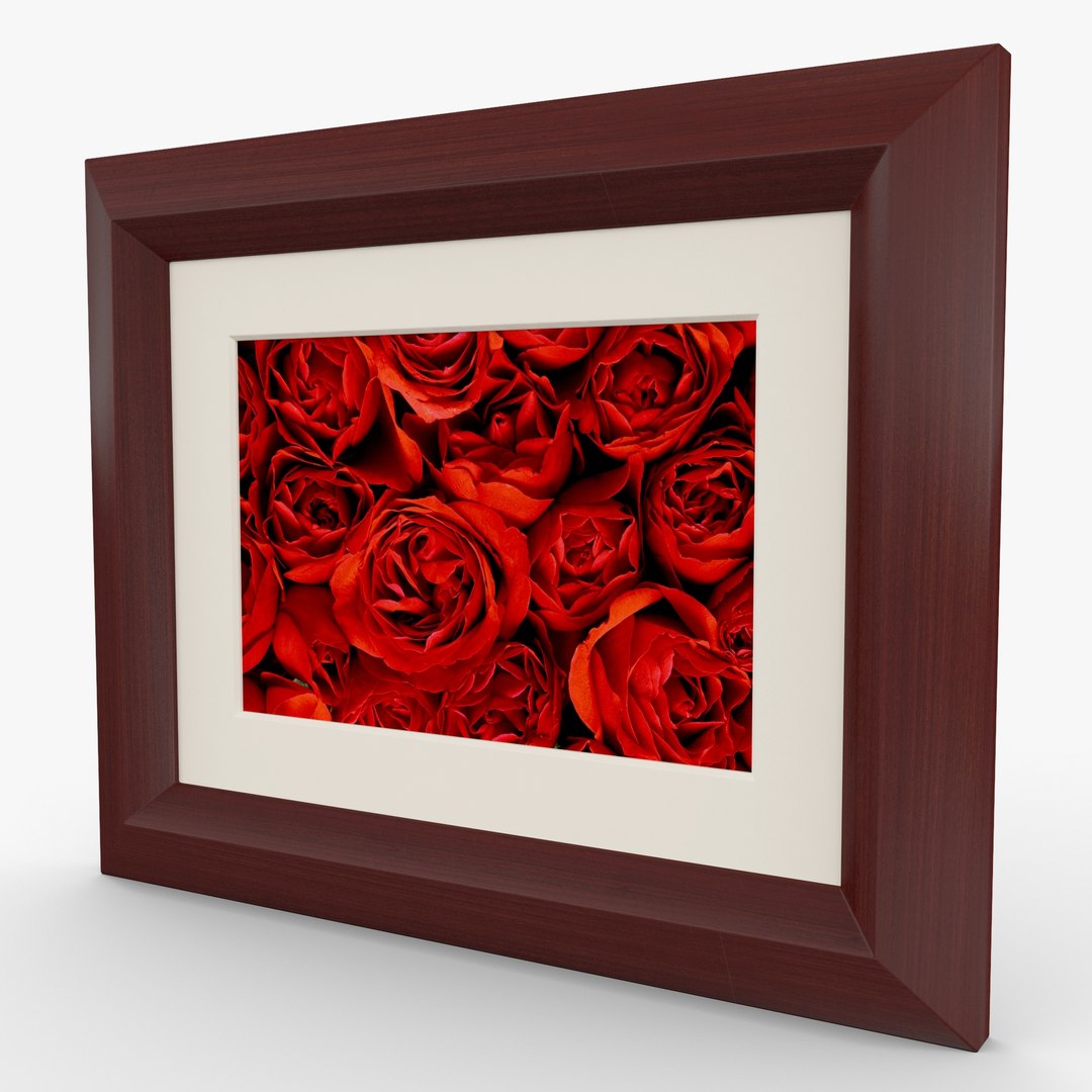 Digital Picture Frame Philips 3ds