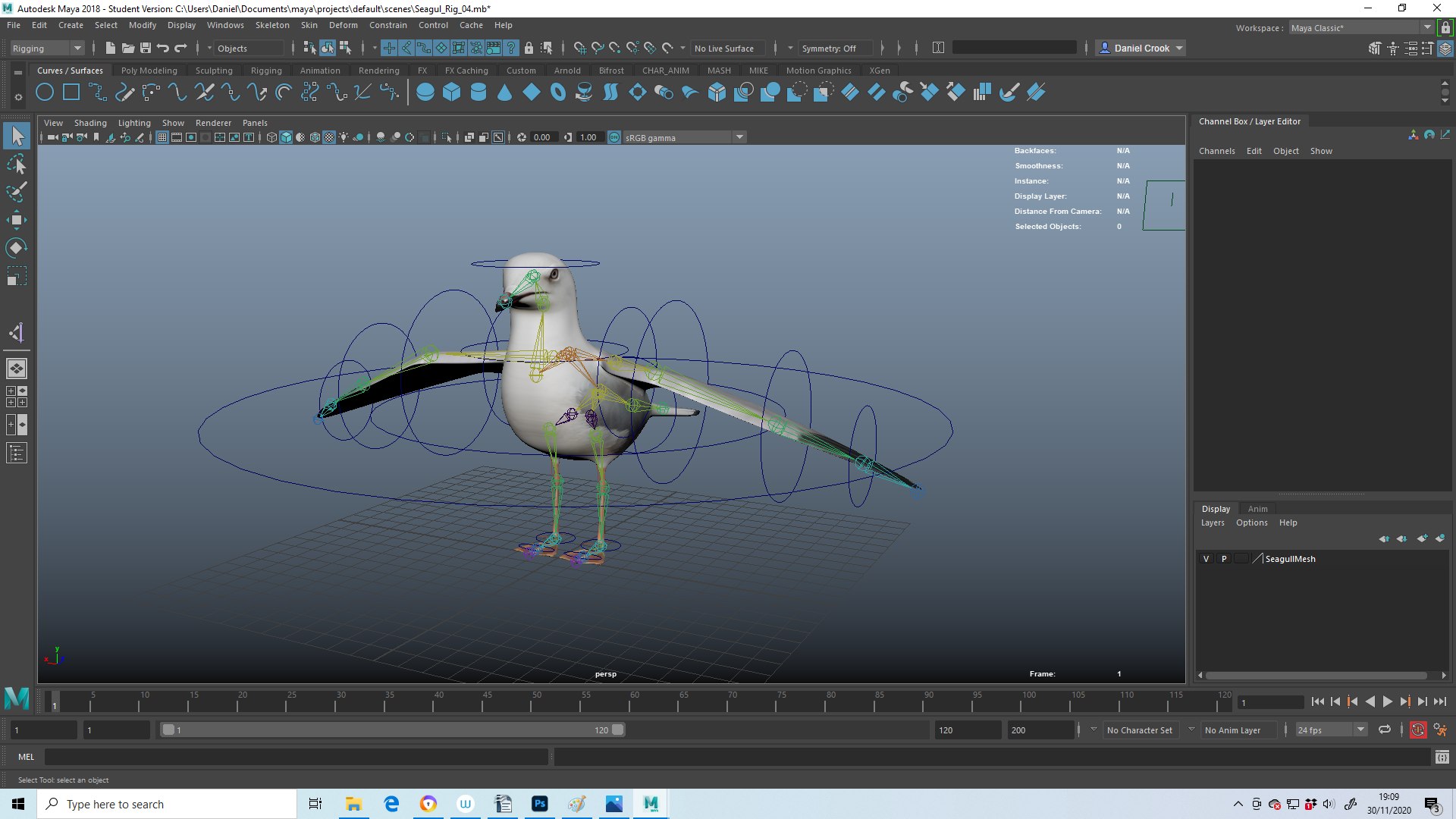 3D Seagull Rigged Modelled - TurboSquid 1657857