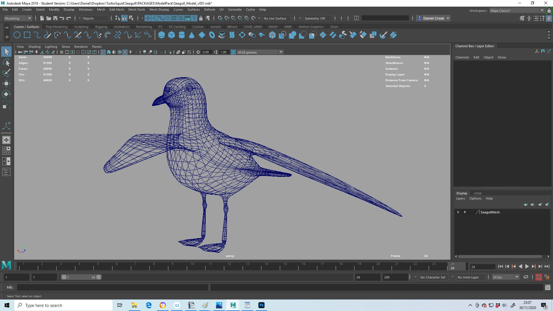 3D Seagull Rigged Modelled - TurboSquid 1657857