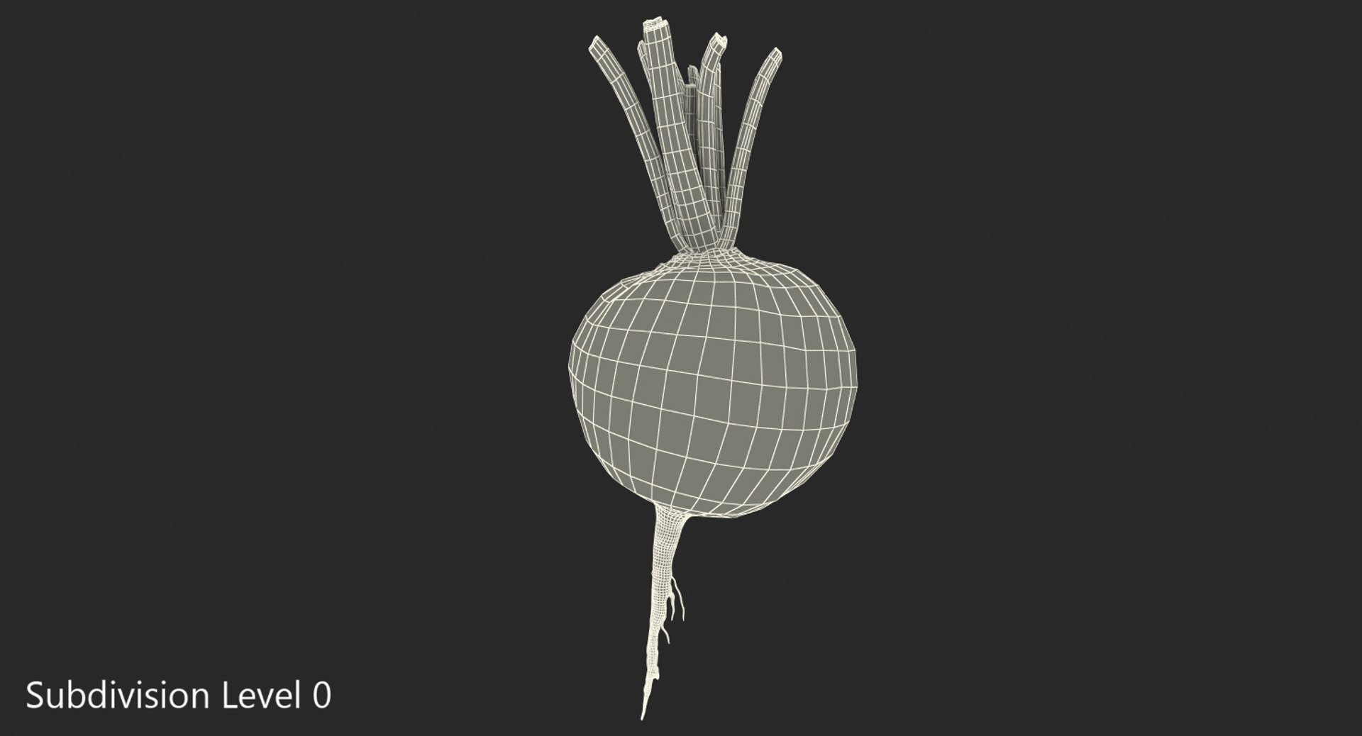 3D Model Beetroot Beet Root - TurboSquid 1217420