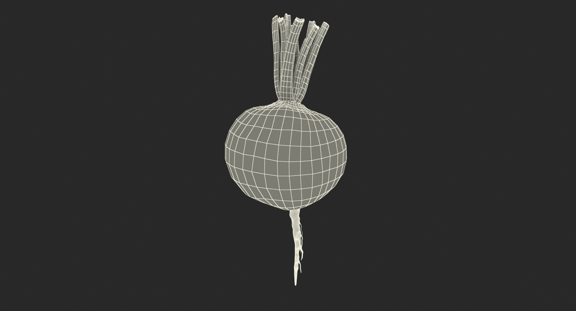 3D Model Beetroot Beet Root - TurboSquid 1217420