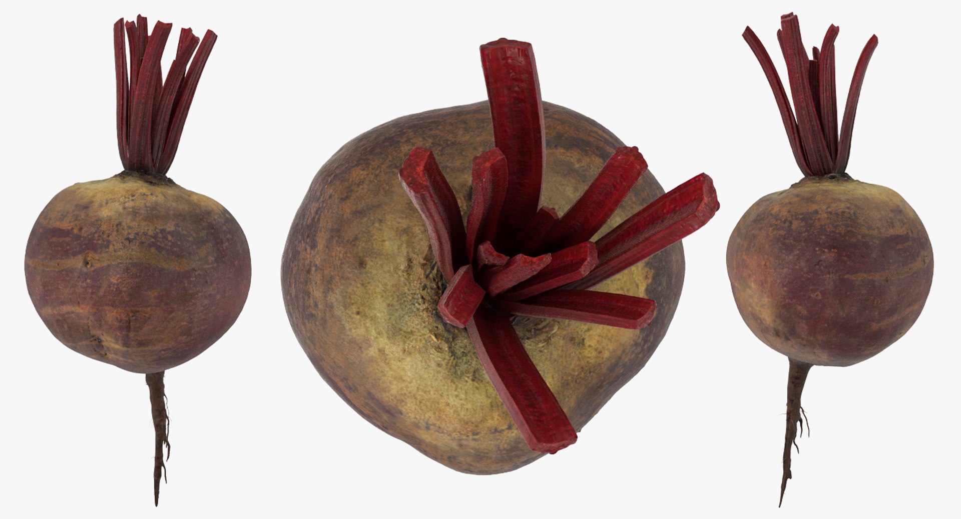 3D Model Beetroot Beet Root - TurboSquid 1217420