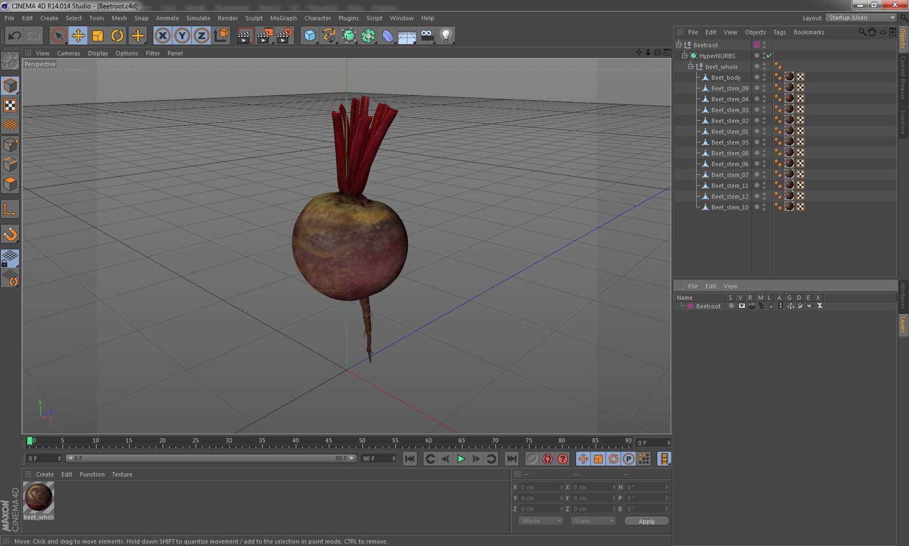 3D Model Beetroot Beet Root - TurboSquid 1217420