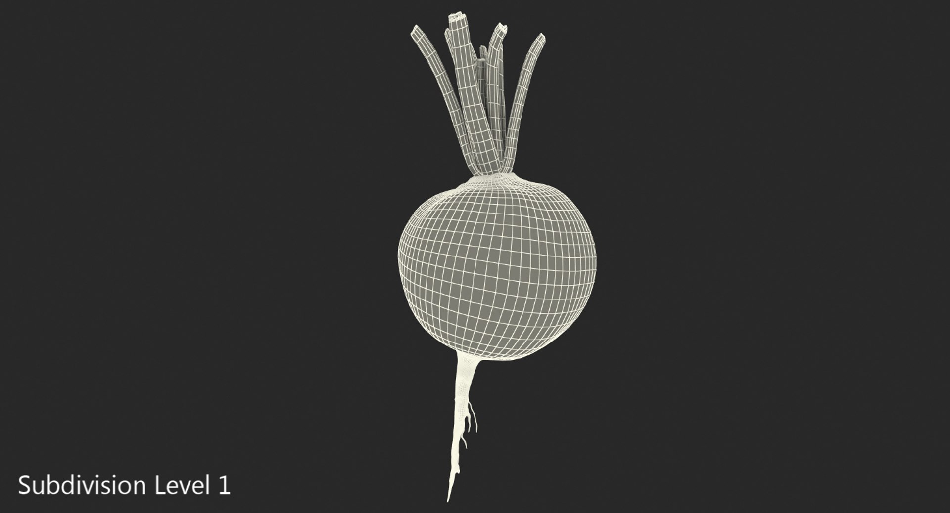3D Model Beetroot Beet Root - TurboSquid 1217420
