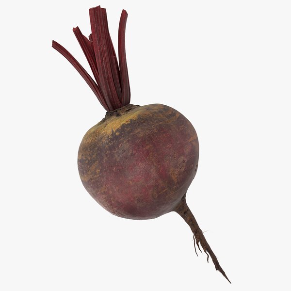 3D beetroot realistic model - TurboSquid 1218128