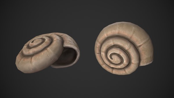 3D Ammonite Sea Shell model - TurboSquid 1762451