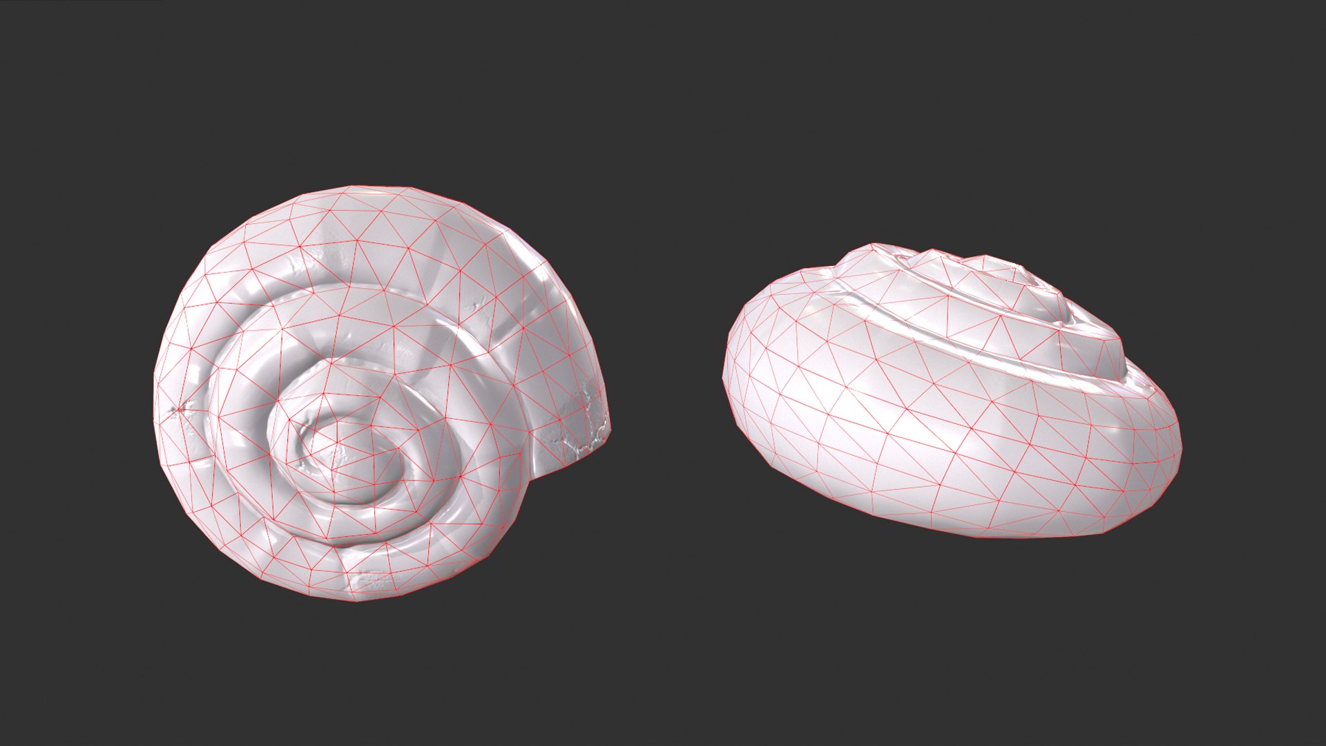 3D Ammonite Sea Shell Model - TurboSquid 1762451