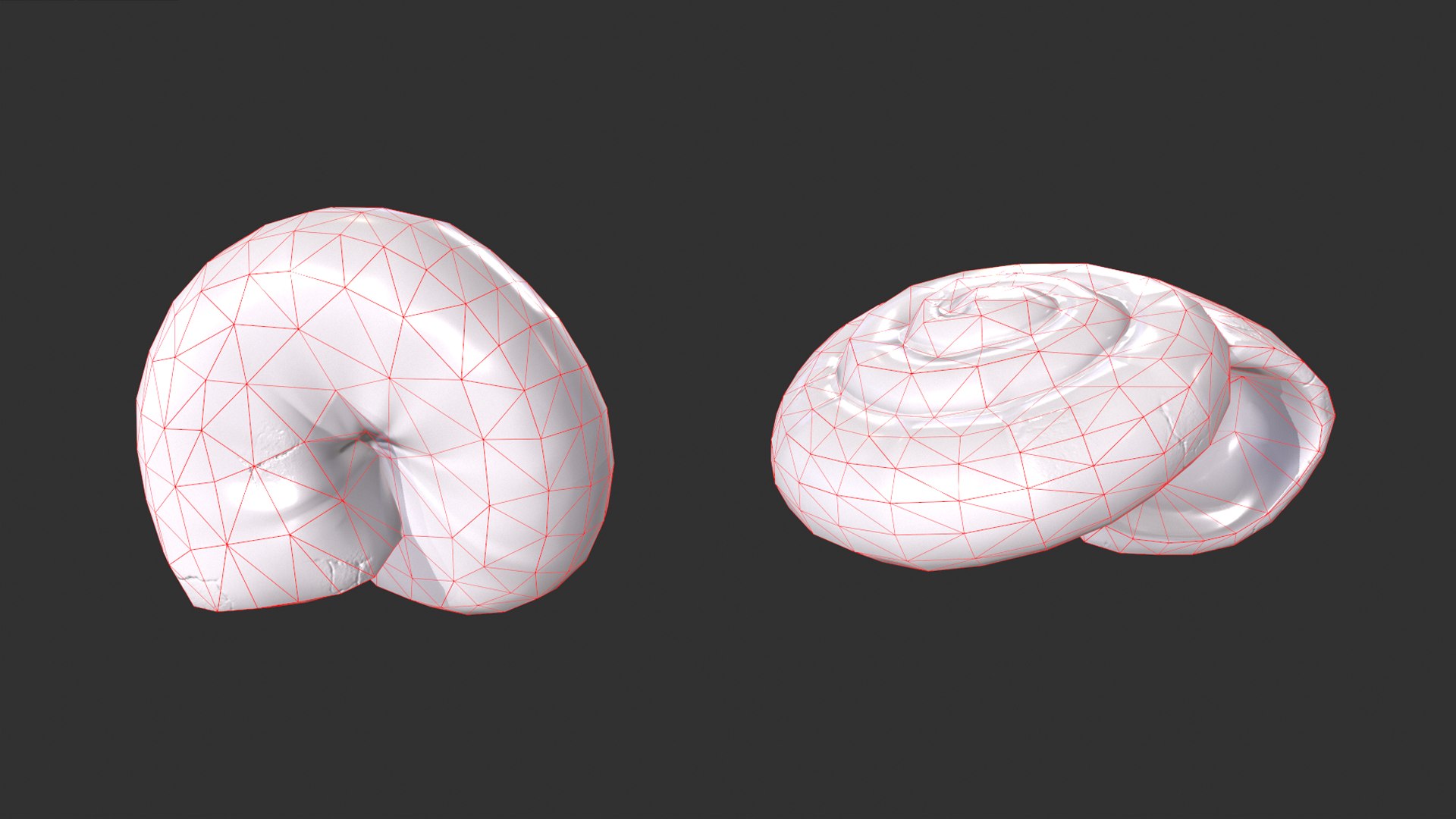 3D Ammonite Sea Shell Model - TurboSquid 1762451