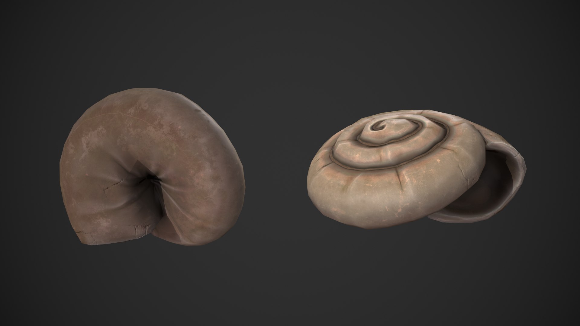 3D Ammonite Sea Shell Model - TurboSquid 1762451