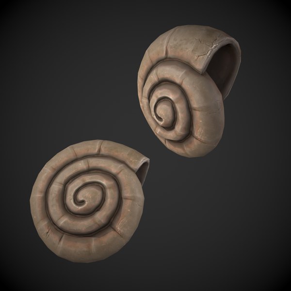 3d nautilus shell cut