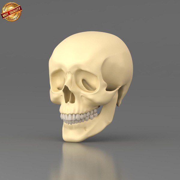 anatomy medical science 3d x