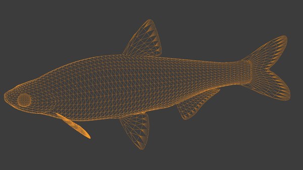 3ds max wataka ischikauia steenackeri