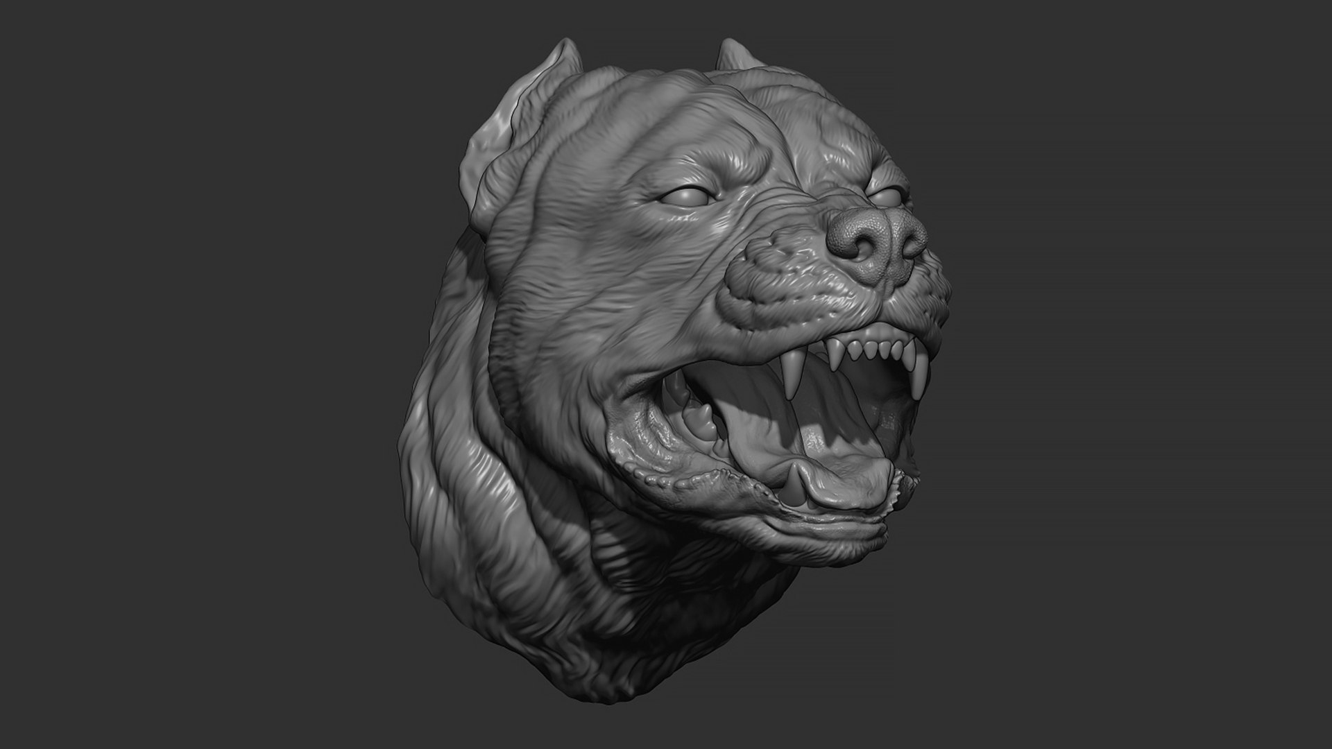 3D Pitbull Grin Head Model - TurboSquid 1894674