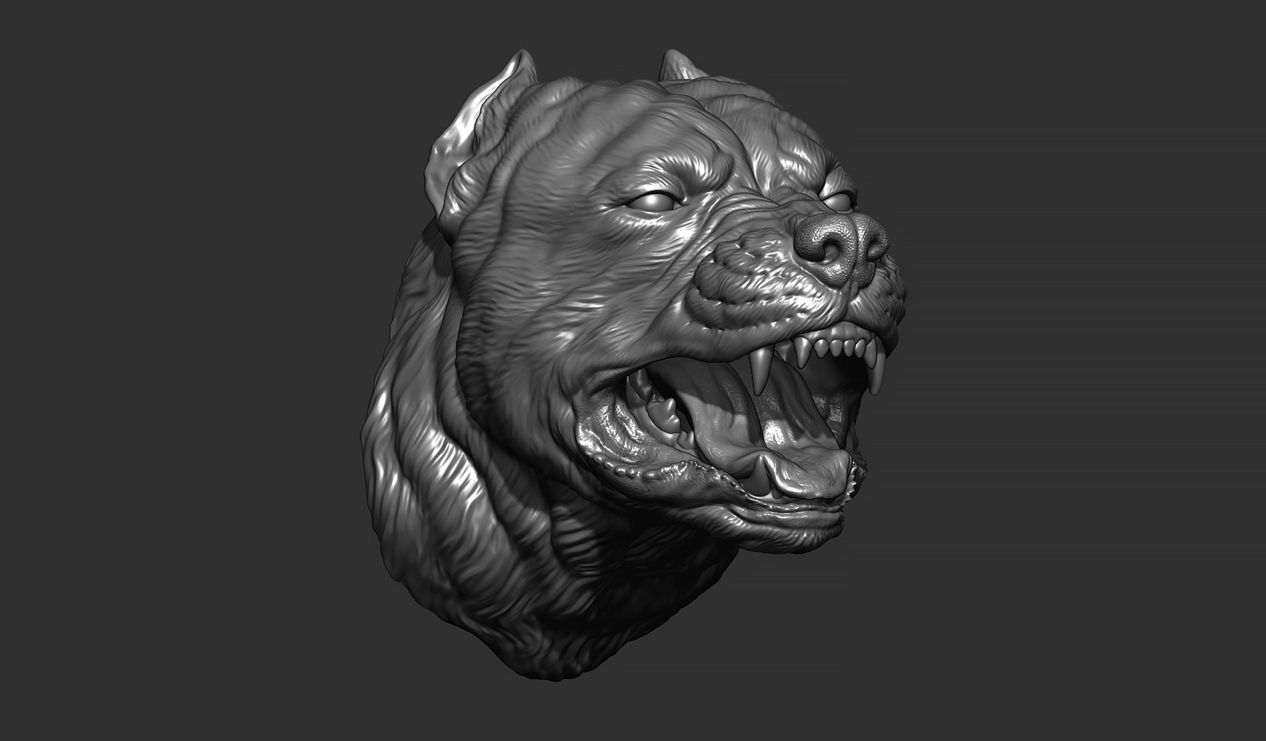 3D Pitbull Grin Head Model - TurboSquid 1894674