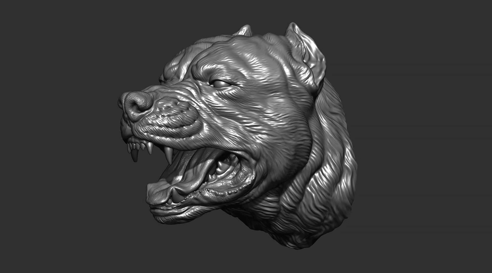 3D Pitbull Grin Head Model - TurboSquid 1894674