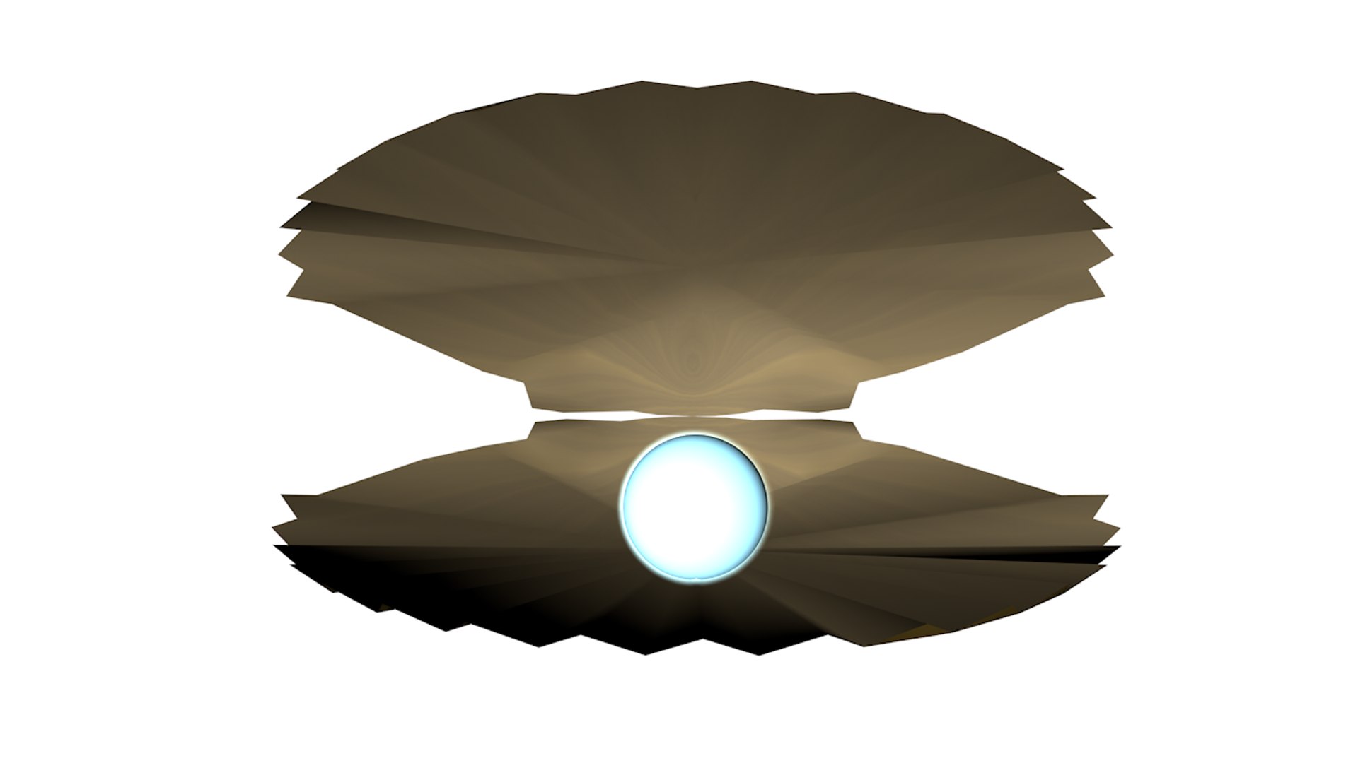 Simple scallop shell animation model - TurboSquid 1549278