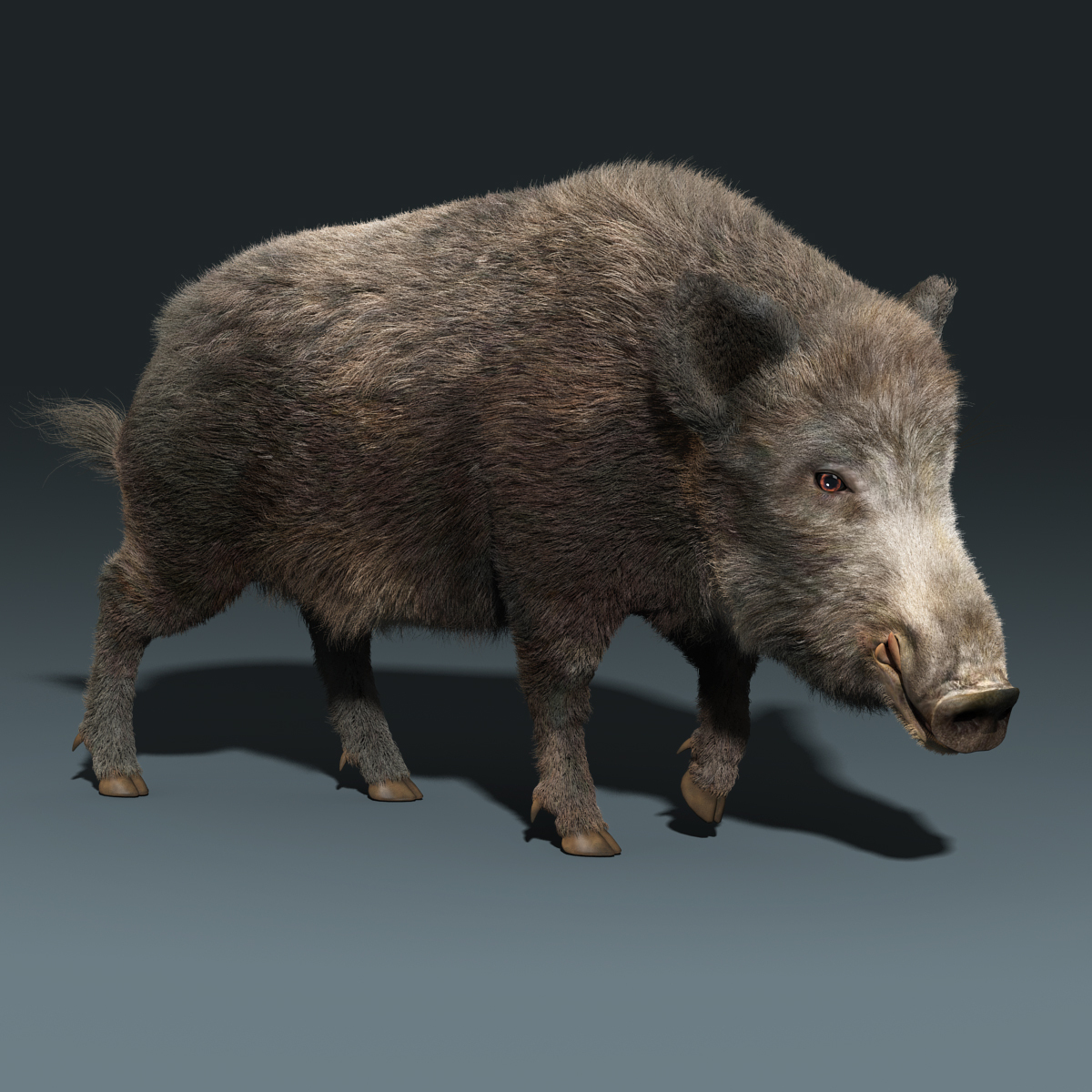 3d model wild boar fur rigged