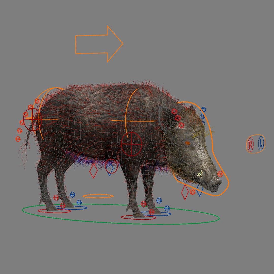 3d model wild boar fur rigged