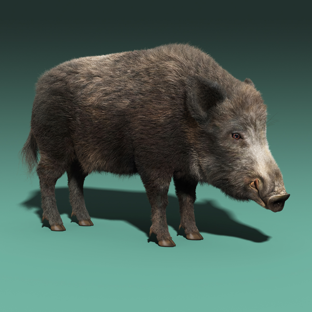 3d model wild boar fur rigged