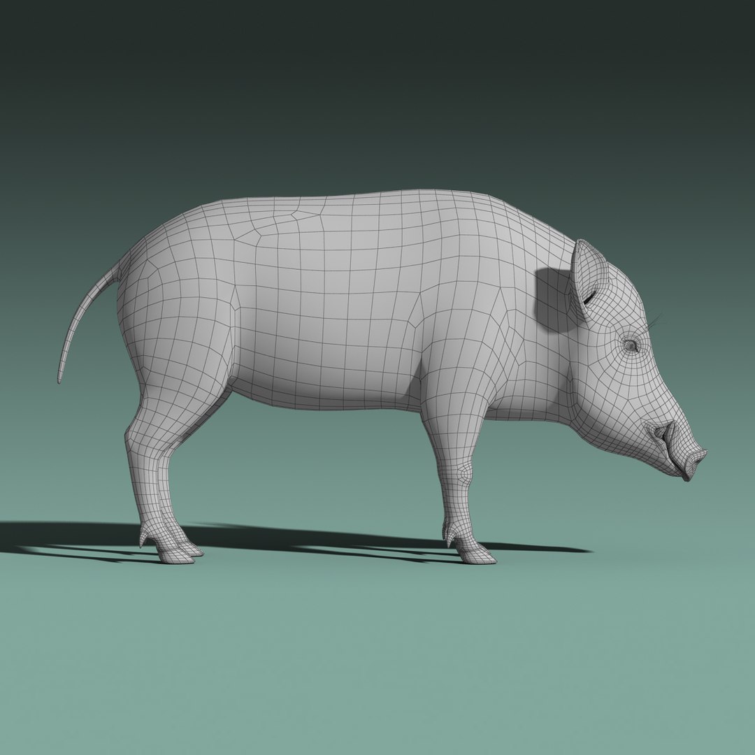 3d model wild boar fur rigged