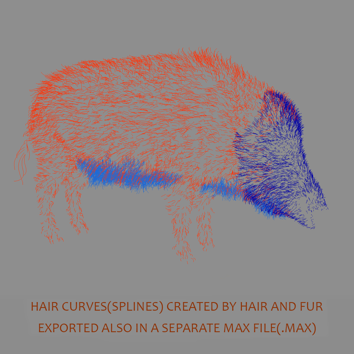 3d model wild boar fur rigged