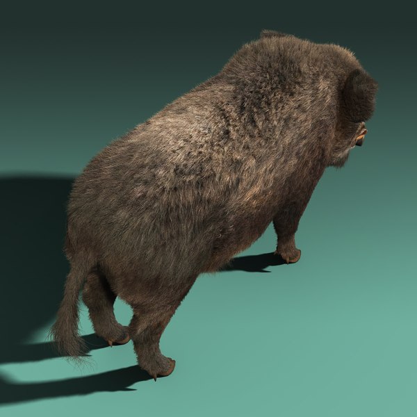 3d model wild boar fur rigged