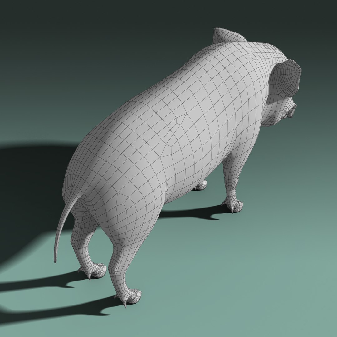 3d model wild boar fur rigged