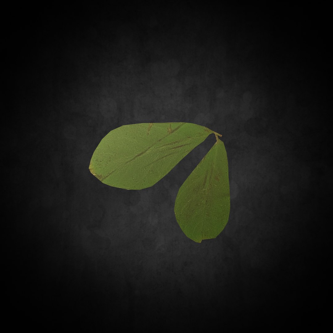 Low Poly Leaf 023 3D Model - TurboSquid 1852141