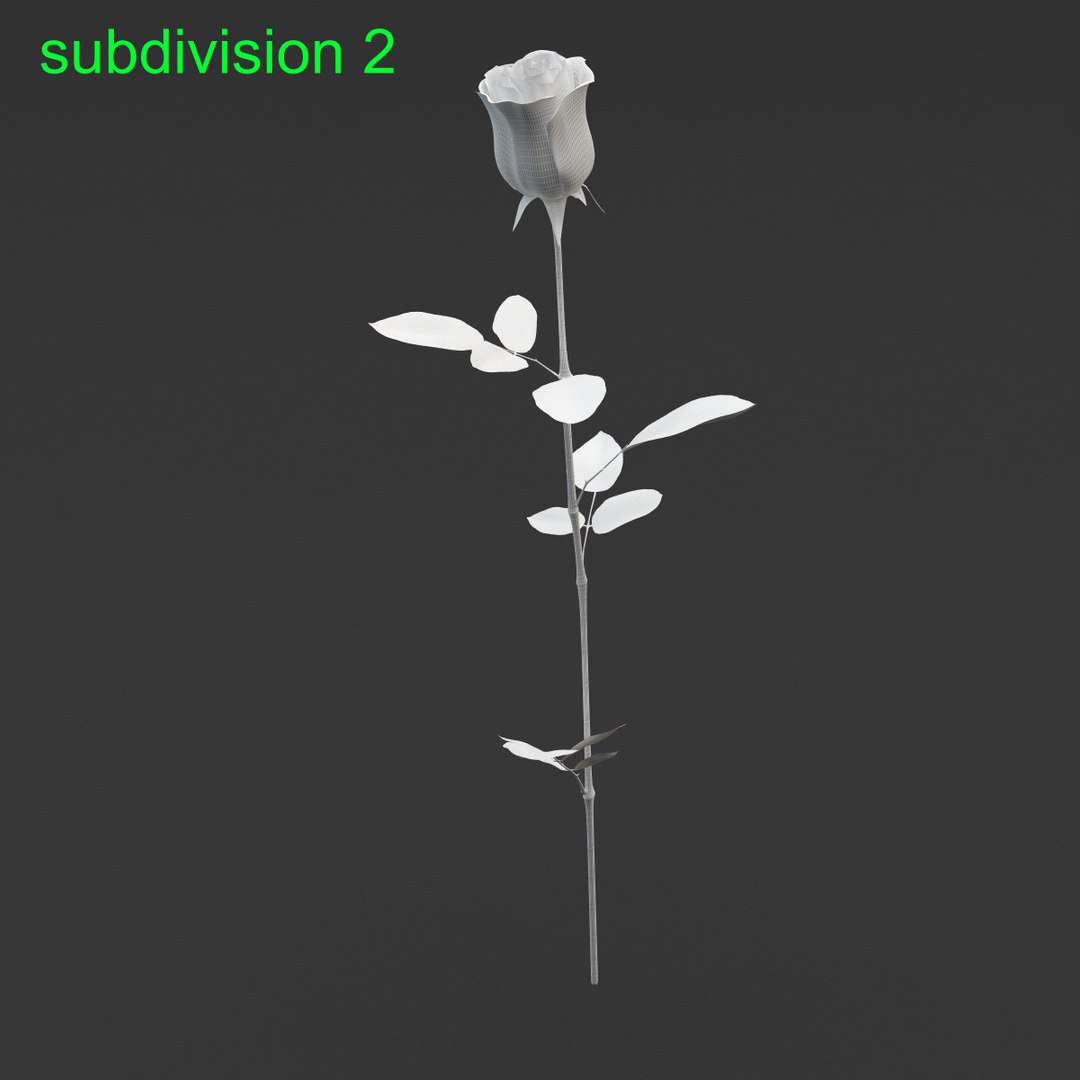 Rose Leaf 3d Max