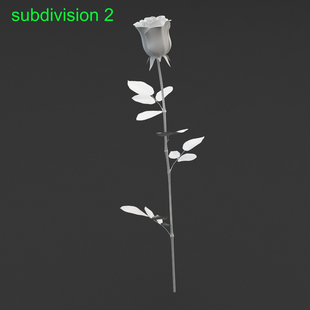 Rose Leaf 3d Max