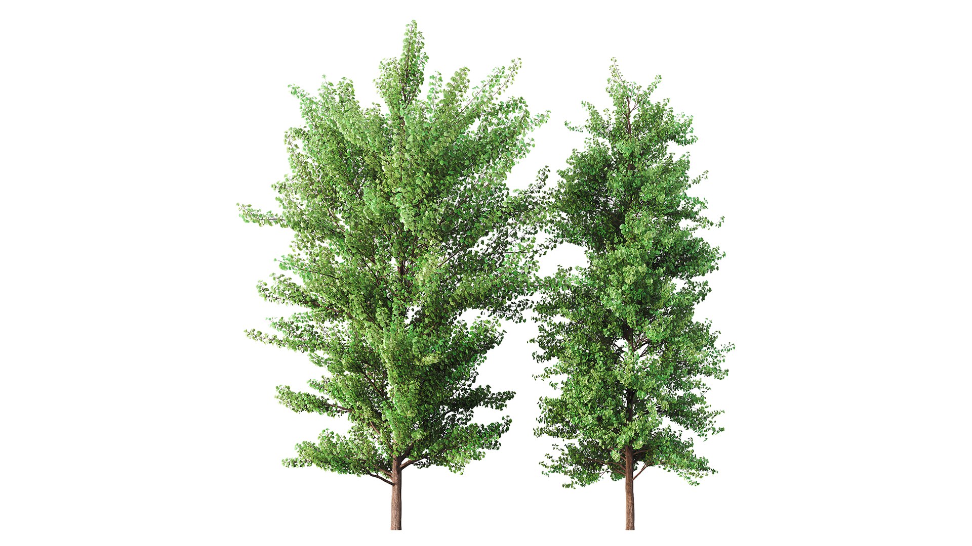 6 Different SETS of Tree SET VOL17 3D model - TurboSquid 2154216