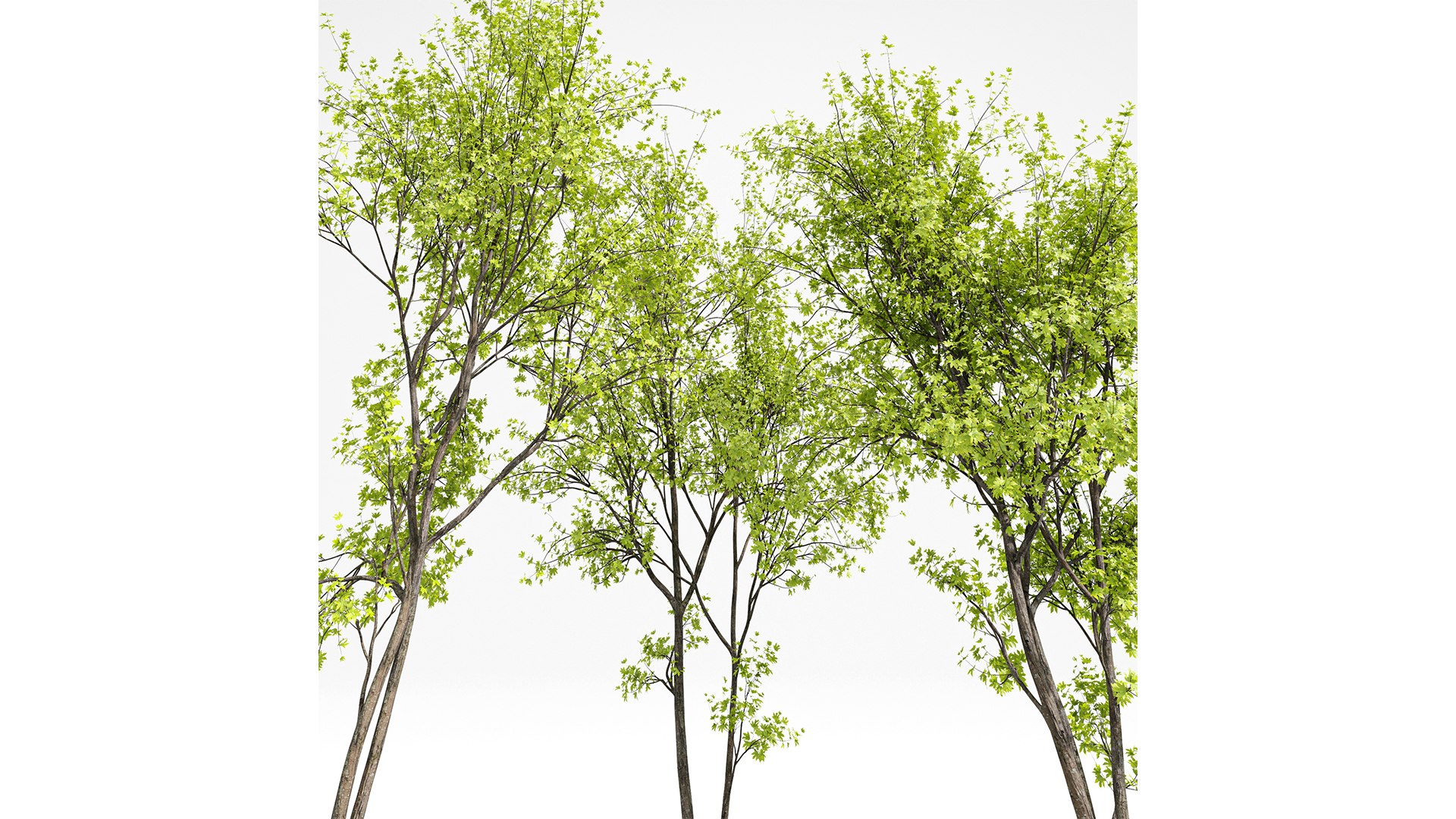 6 Different SETS of Tree SET VOL17 3D model - TurboSquid 2154216