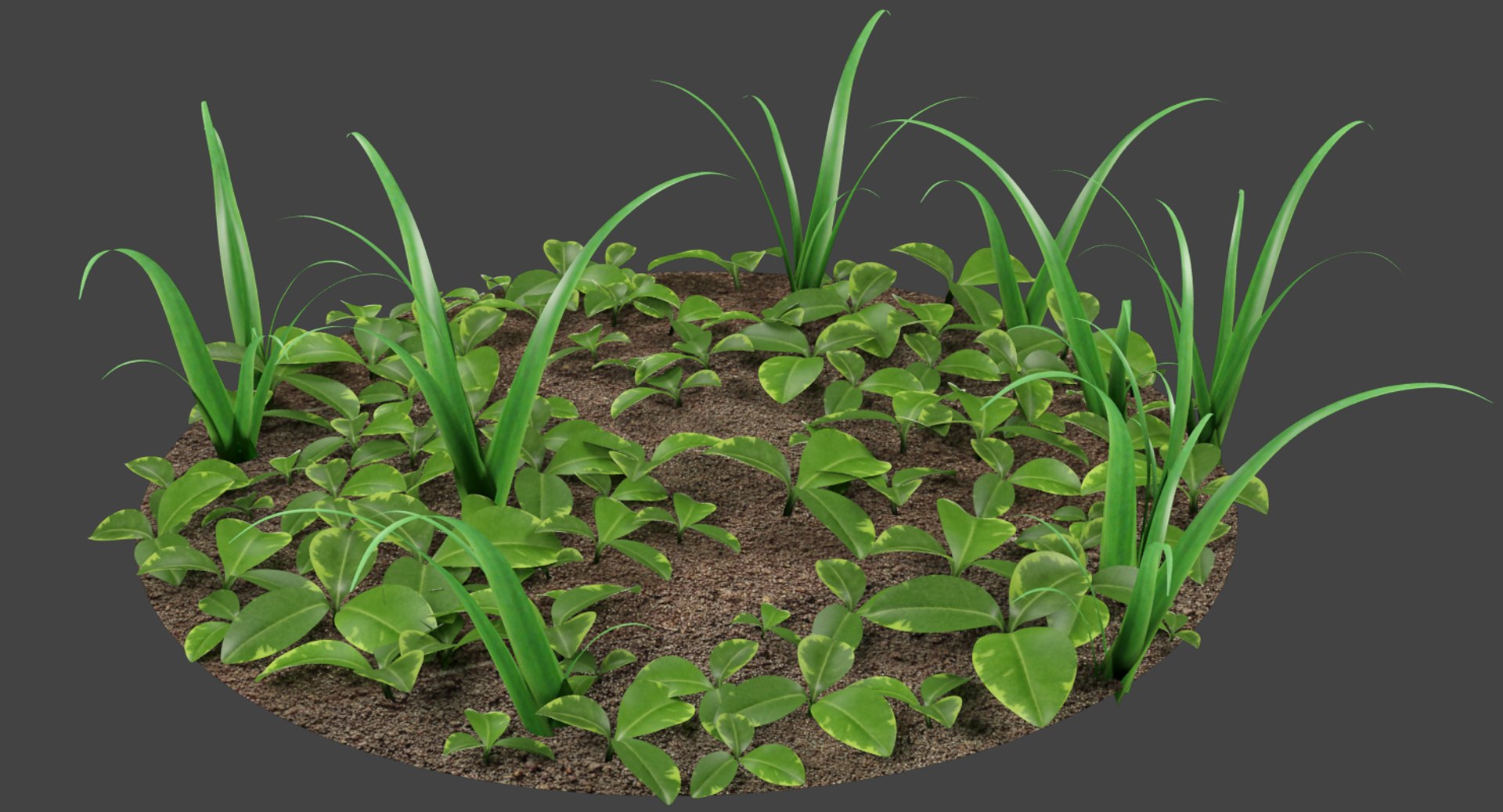 Ground Grass Model - TurboSquid 1191037
