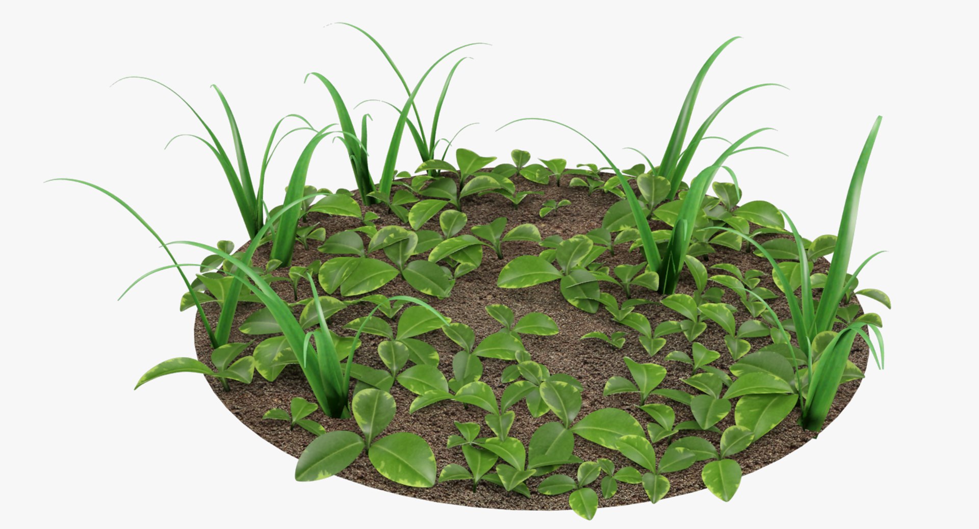 Ground Grass Model - TurboSquid 1191037