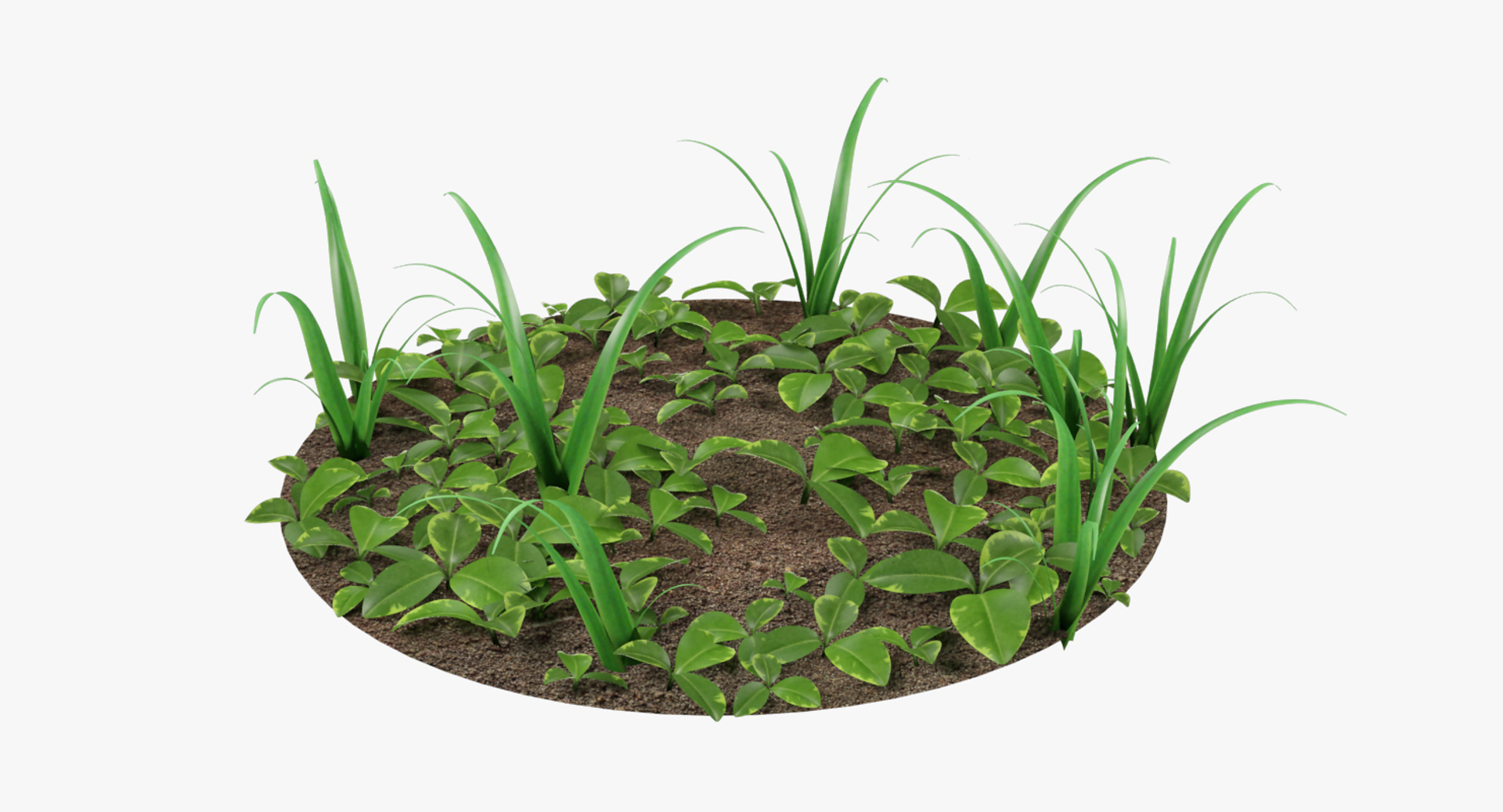 Ground Grass Model - TurboSquid 1191037