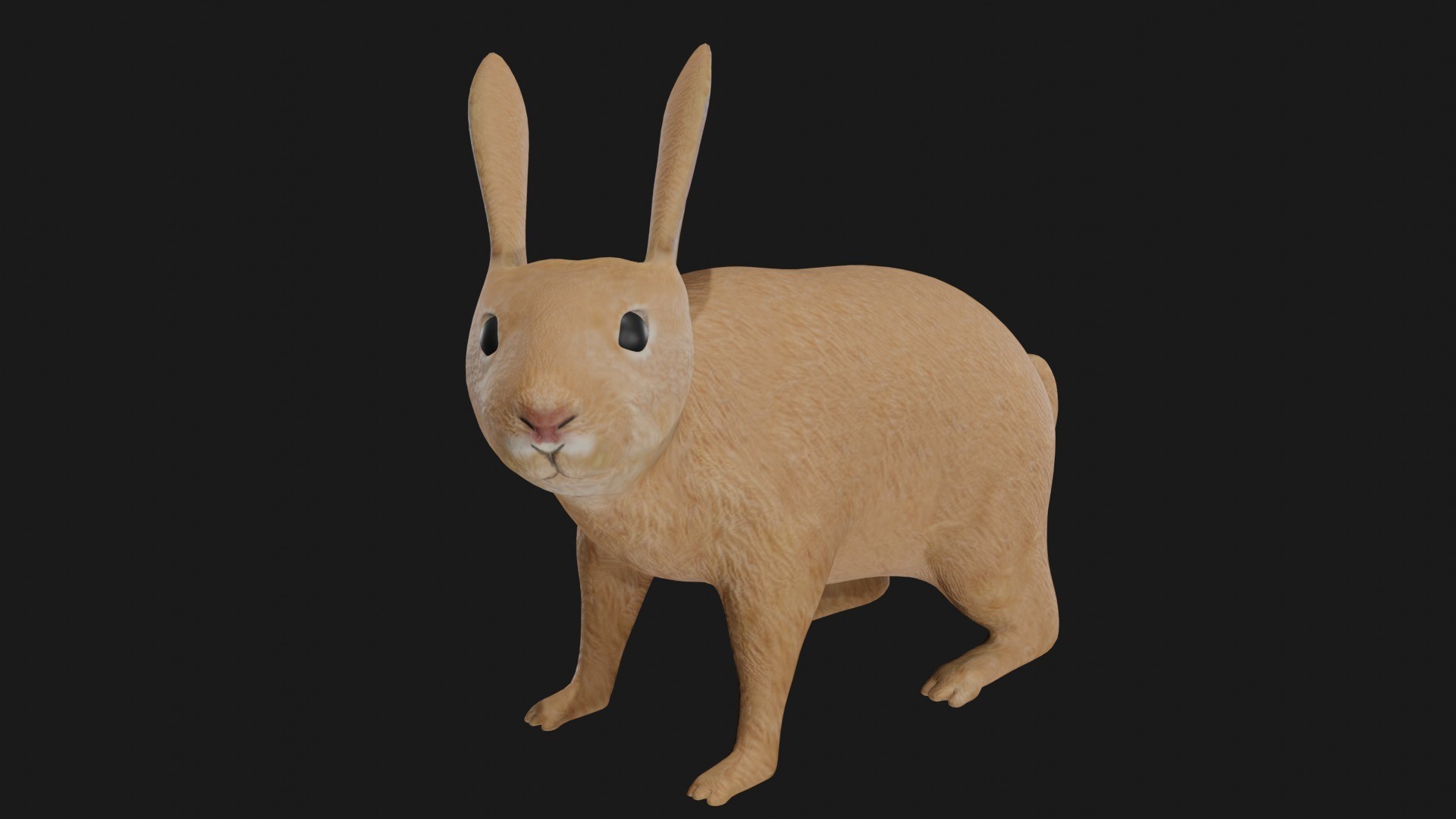 Realistic Rigged Rabbit 3D Model - TurboSquid 1669521