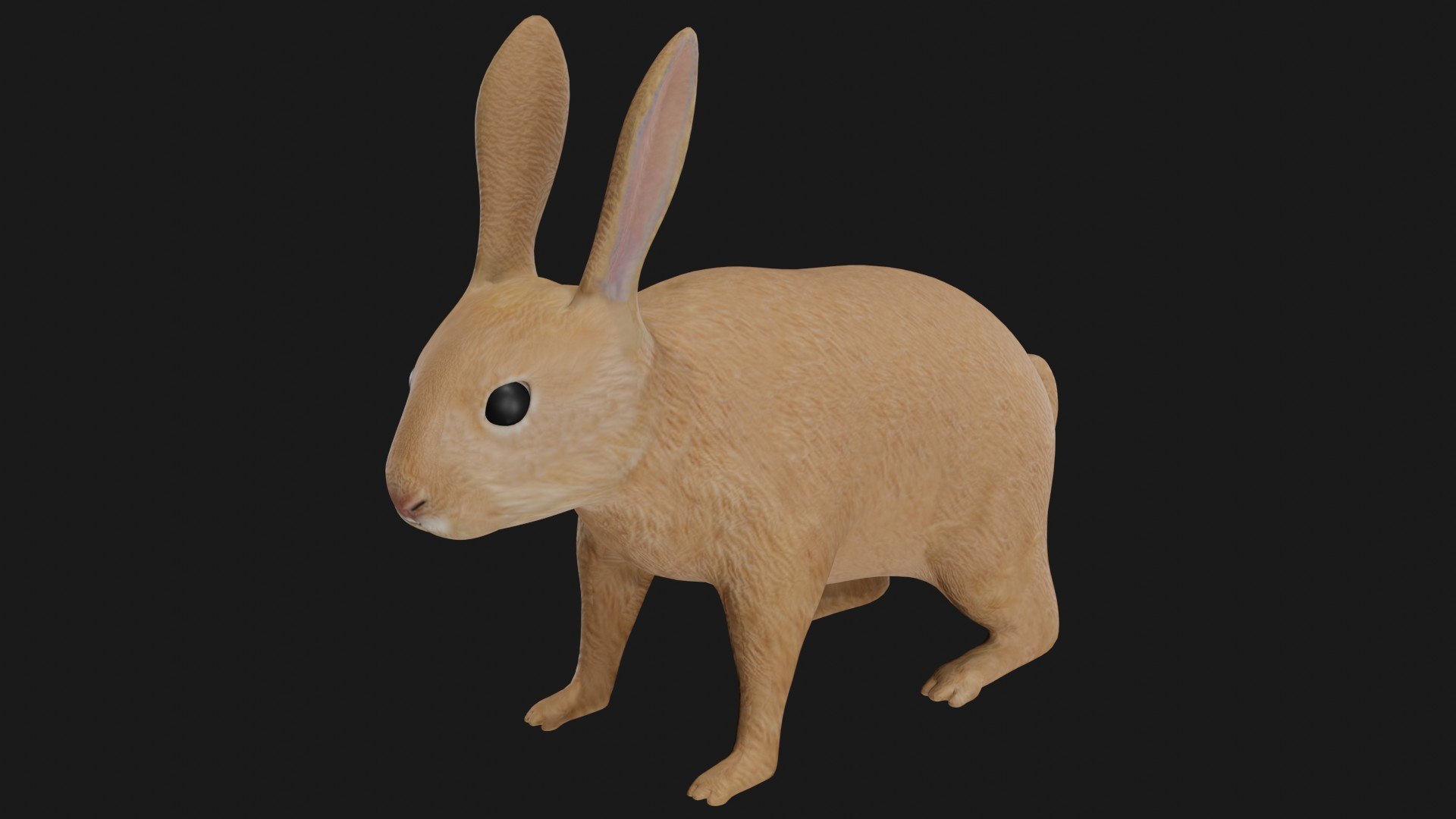 Realistic Rigged Rabbit 3D Model - TurboSquid 1669521
