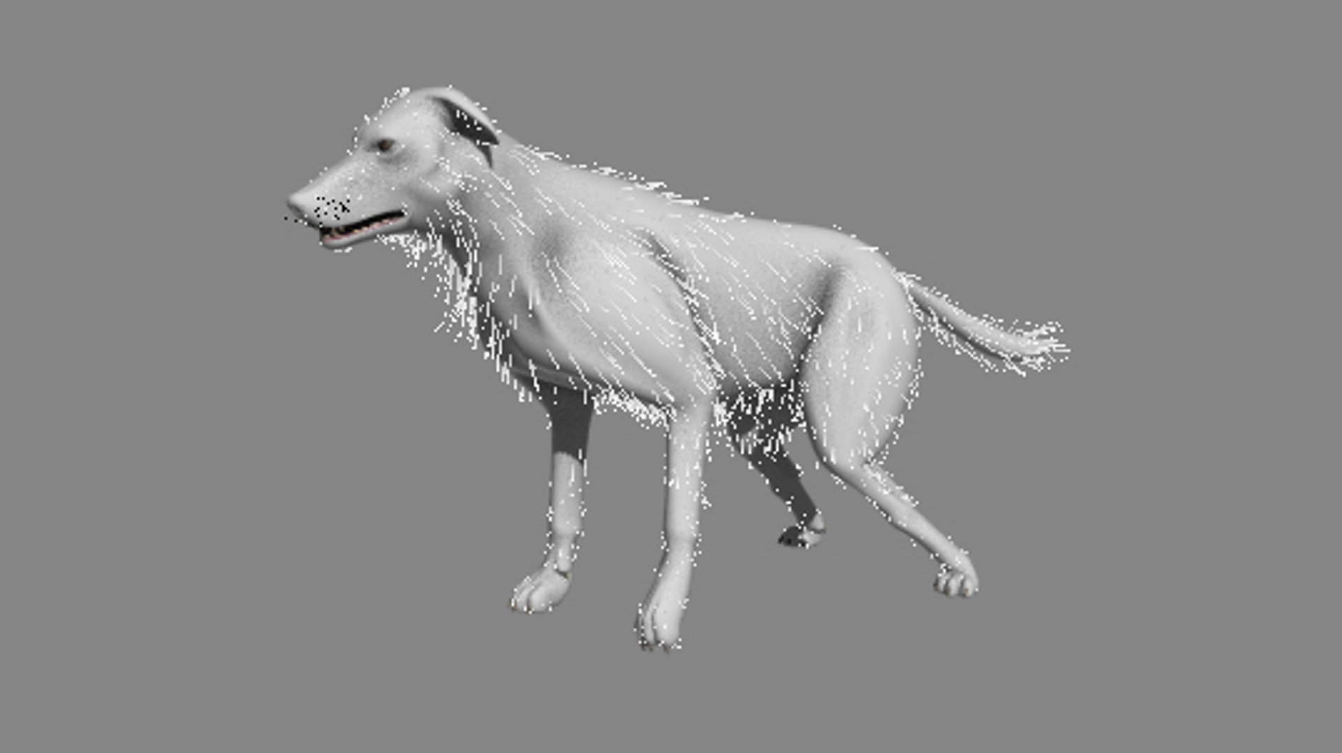 Animated Wolves Fighting