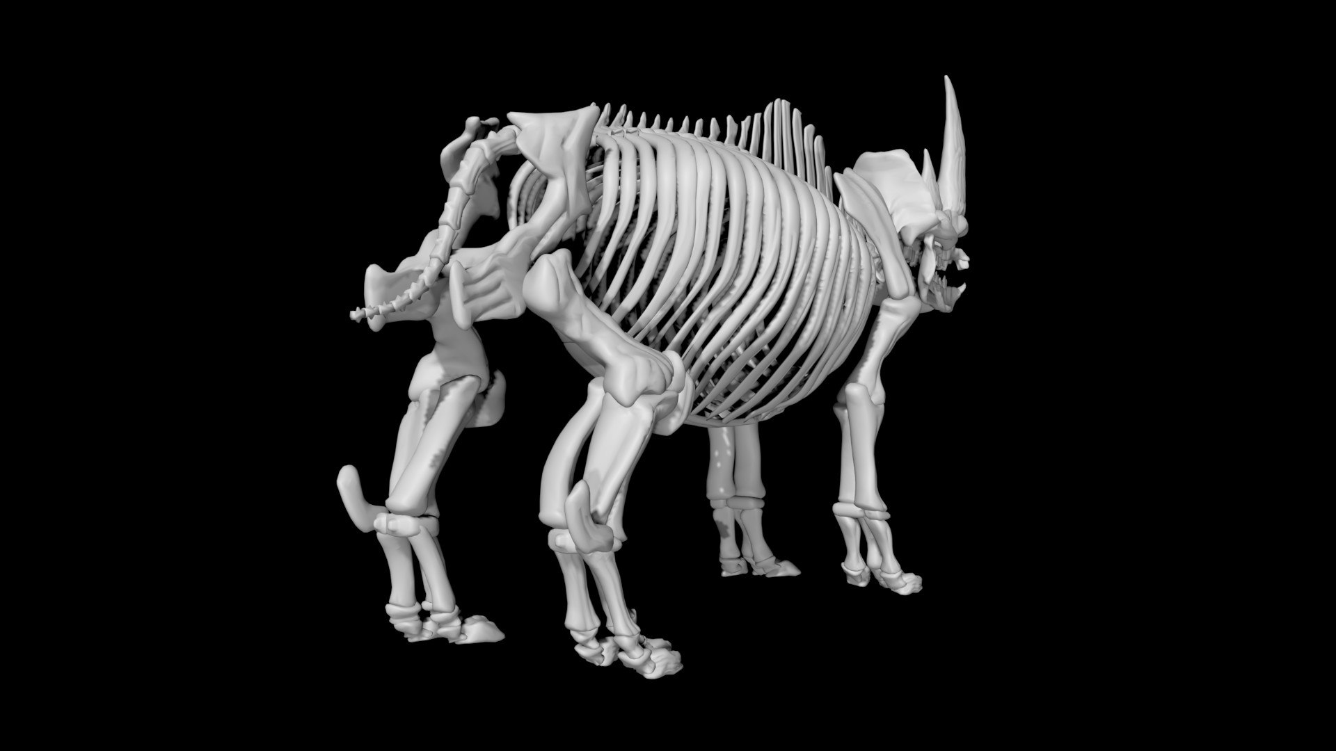 Rhino Skeleton 3D Model - TurboSquid 1853926