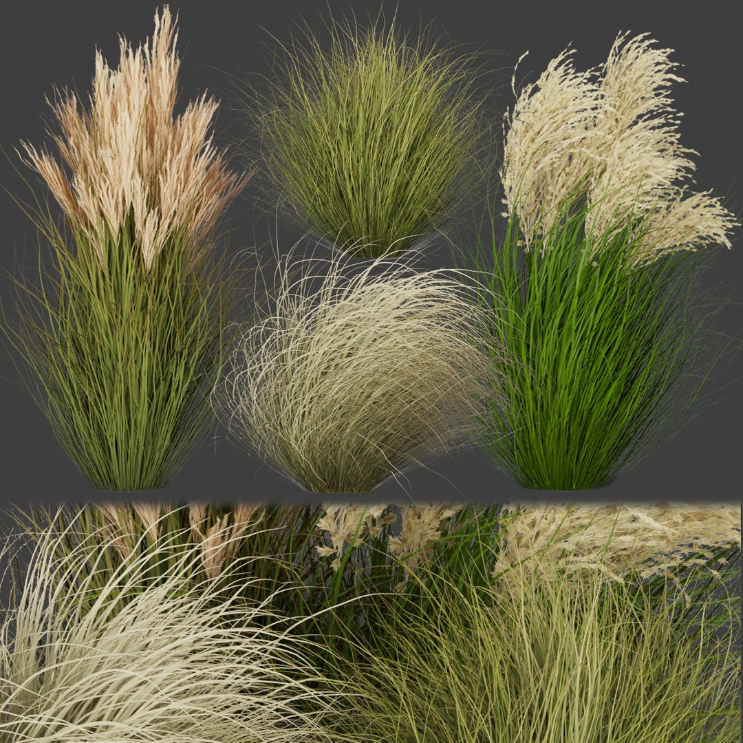 Collection plant vol 278 - grass - outdoor - fbx - obj - 3dmax ...