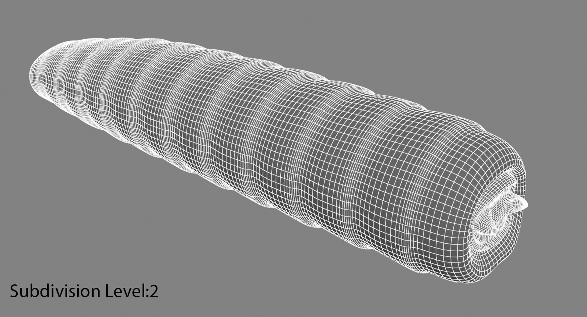 3D Maggot - TurboSquid 1361607