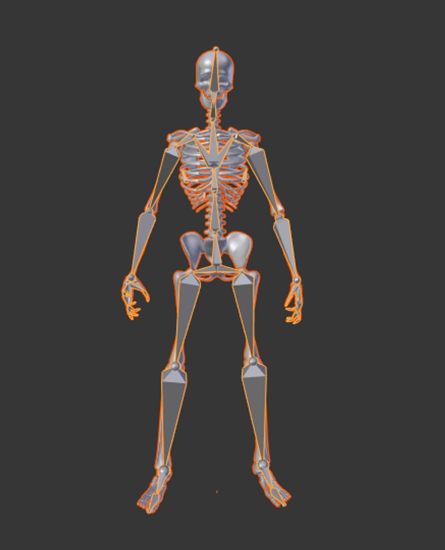 3D Human Skeleton - TurboSquid 1628644